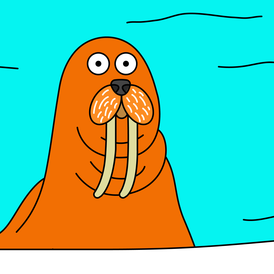 A day in the life of Wilfred the Walrus - Earth Cubs