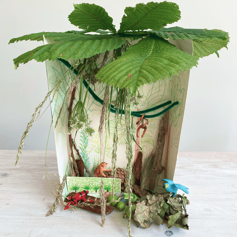Make a Rainforest Habitat - Earth Cubs