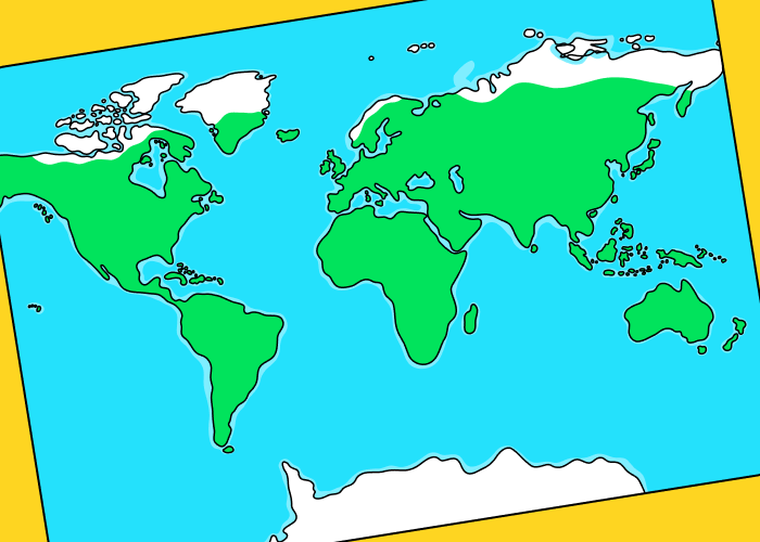 World Map - Earth Cubs