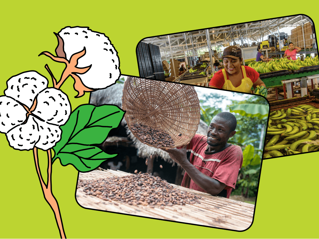 Fairtrade Photo Pack - Earth Cubs