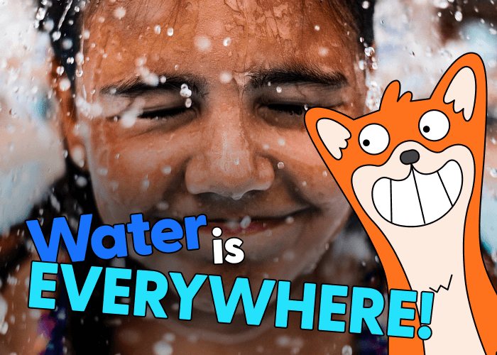 Water is EVERYWHERE! - Earth Cubs