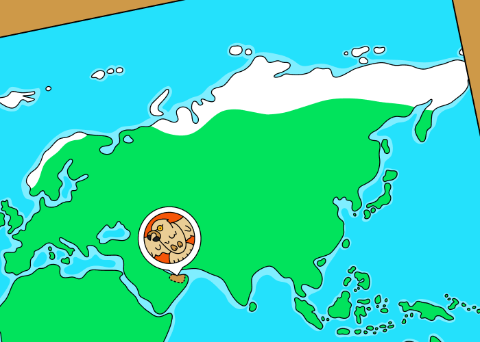 Dubai World Map - Earth Cubs