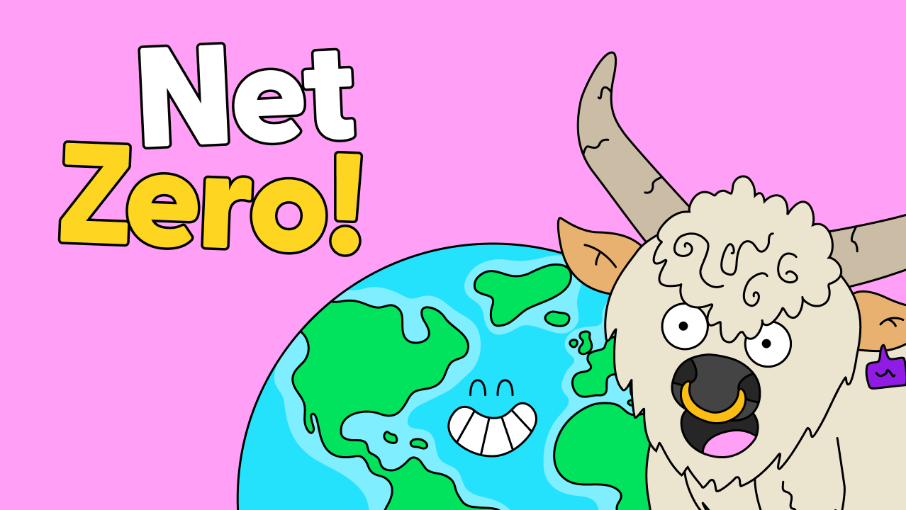 What is Net Zero? - Earth Cubs