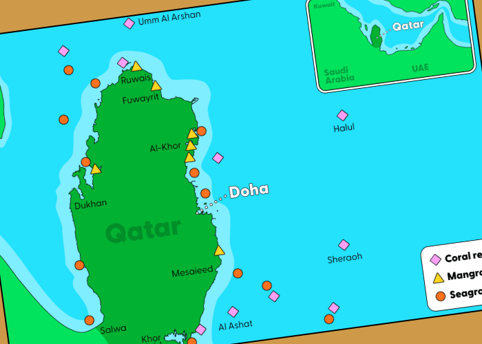 Map of Qatar Marine Ecosystems - Earth Cubs