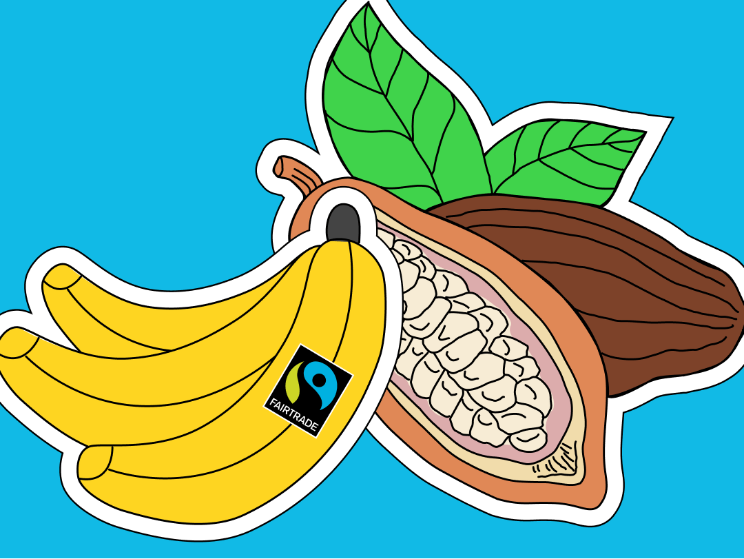 Fairtrade Activity Pack - Earth Cubs