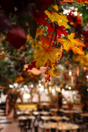 SERRA by Birreria - Seasonal Rooftop Restaurant in NYC | Eataly