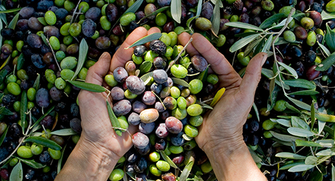 Eataly Magazine | Eataly