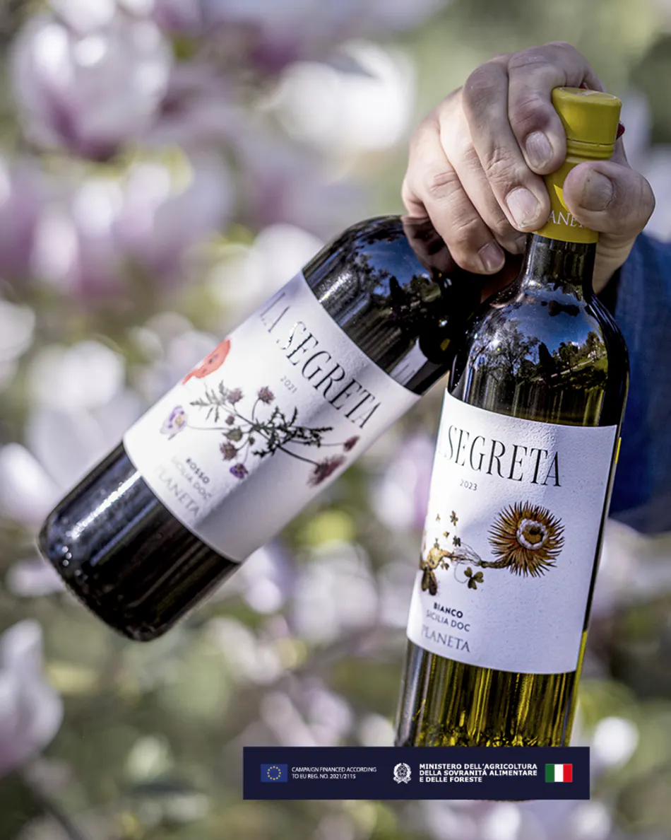 Savor Sicilian Wines with Planeta Winery | Eataly