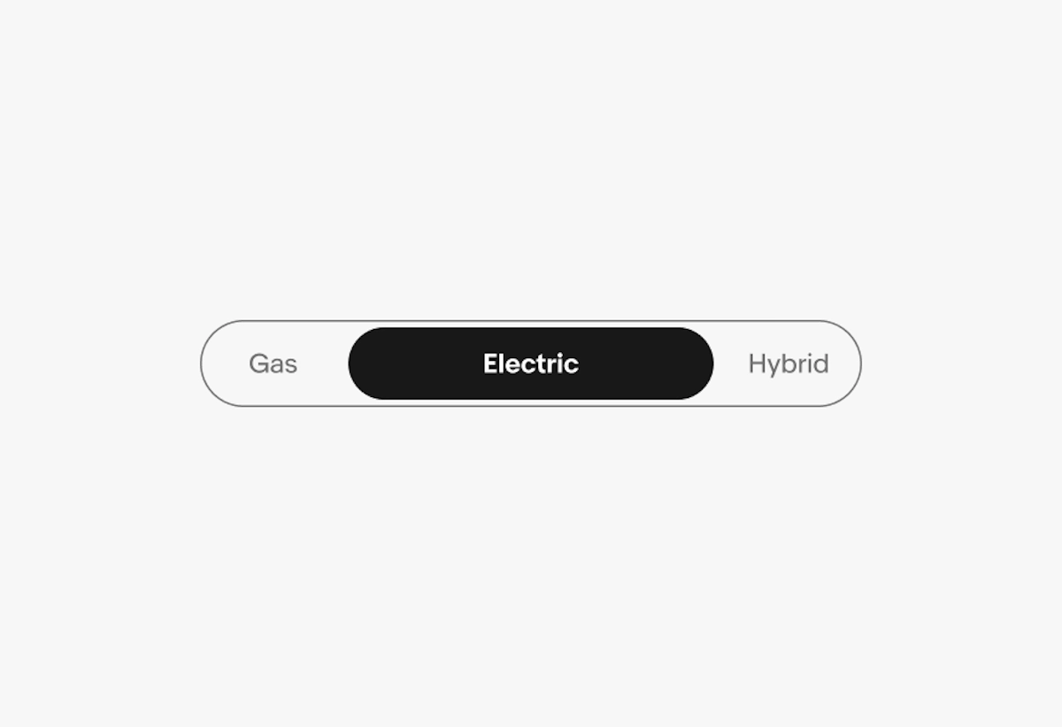 Segmented Button: Design | Components | Design System | eBay Playbook