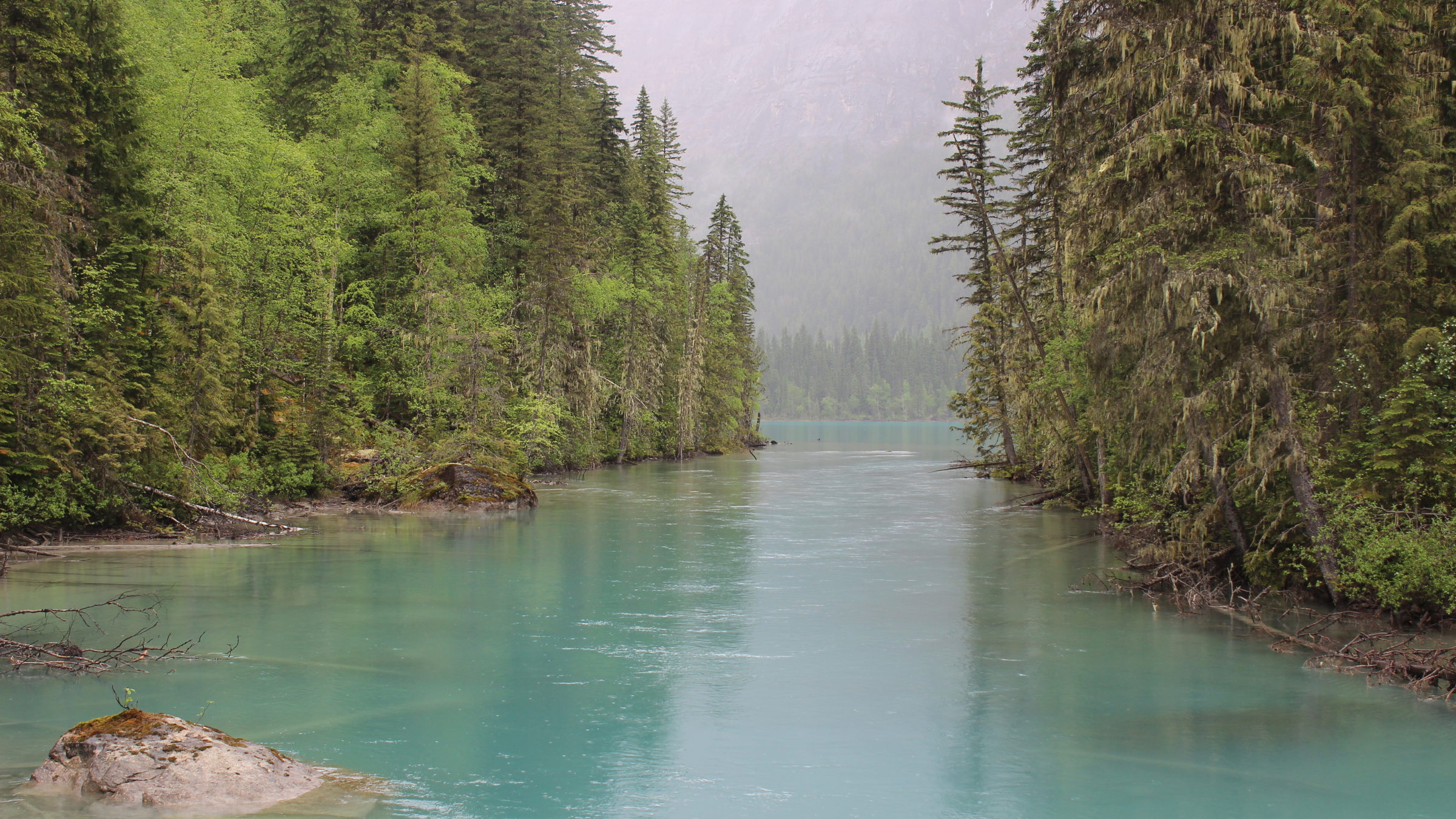 Supporting Indigenous-led conservation efforts in Alberta | Alberta ...