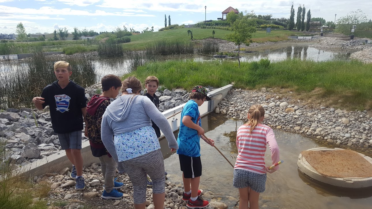 Wetlands Education Project | Alberta Ecotrust Foundation