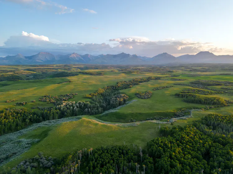 Grants | Alberta Ecotrust Foundation