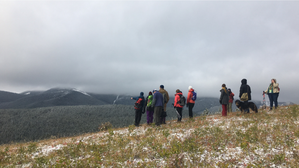 Engaging Albertans on Forests | Alberta Ecotrust Foundation