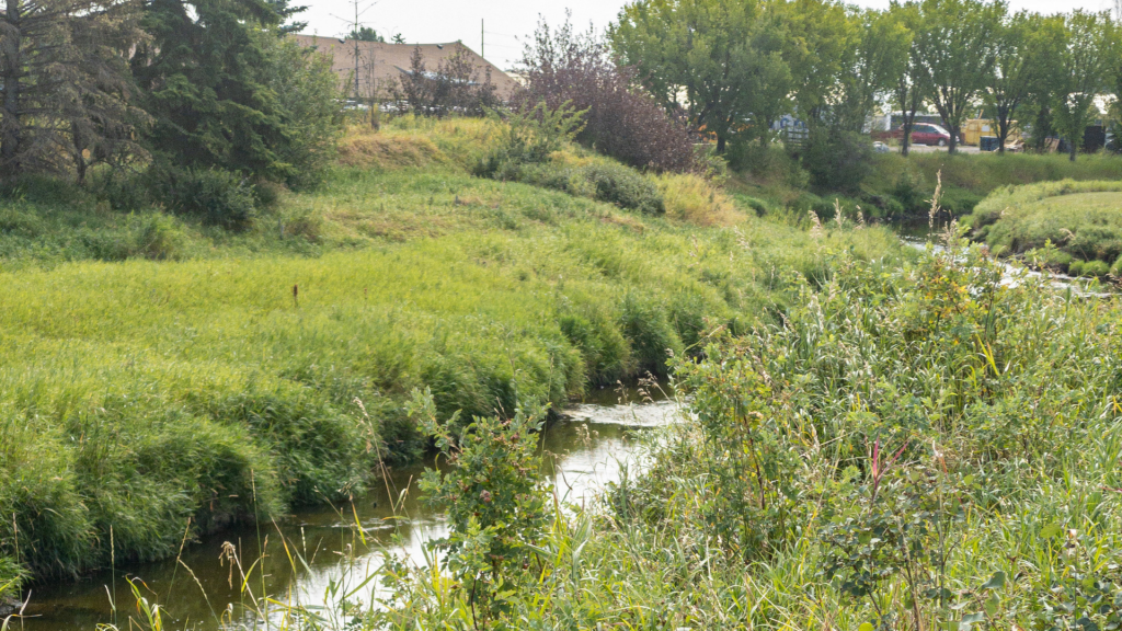 Nose Creek water quality model project: Phase two | Alberta Ecotrust ...