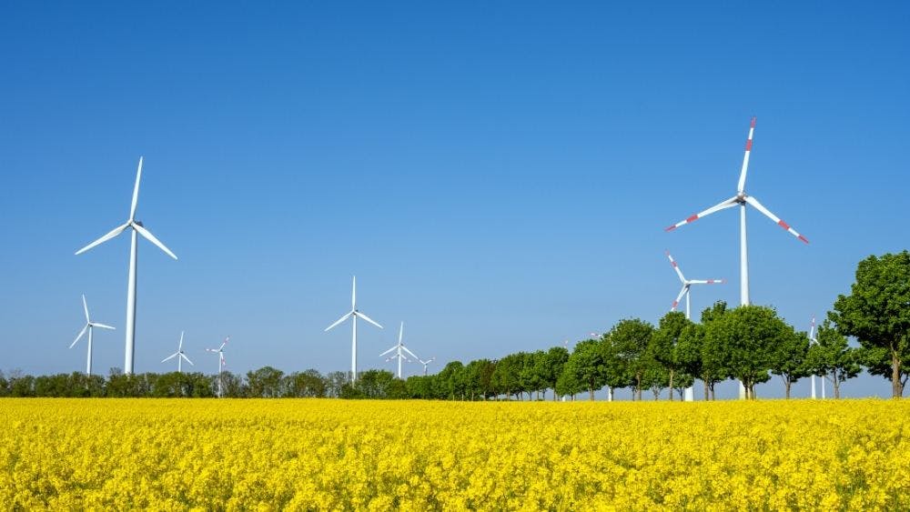 Top 10 environmental management training courses | SC Training