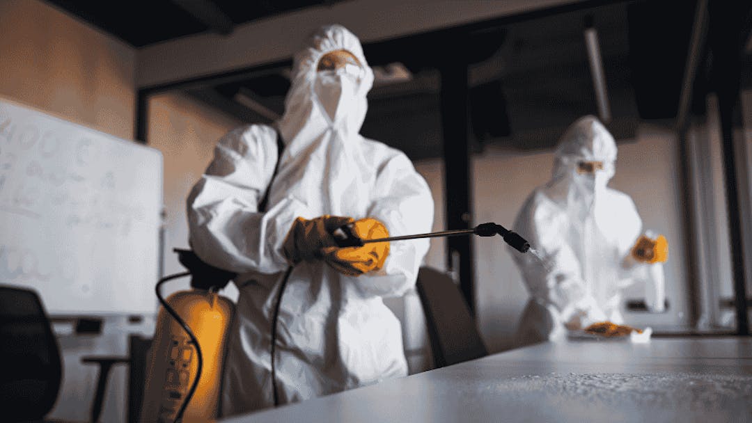 10 Best sanitation courses online in 2025 | SC Training