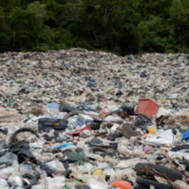 10 Training courses on waste management | SC Training