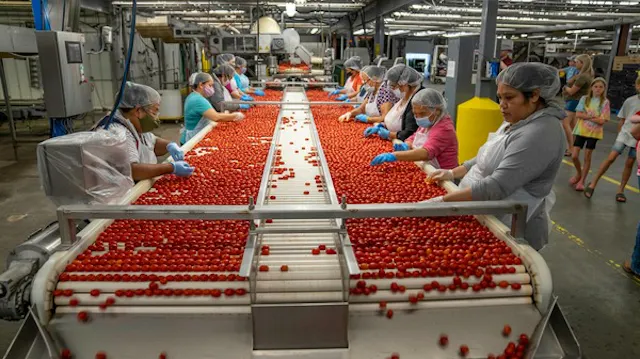 10 Manufacturing safety topics for safety meetings | SC Training