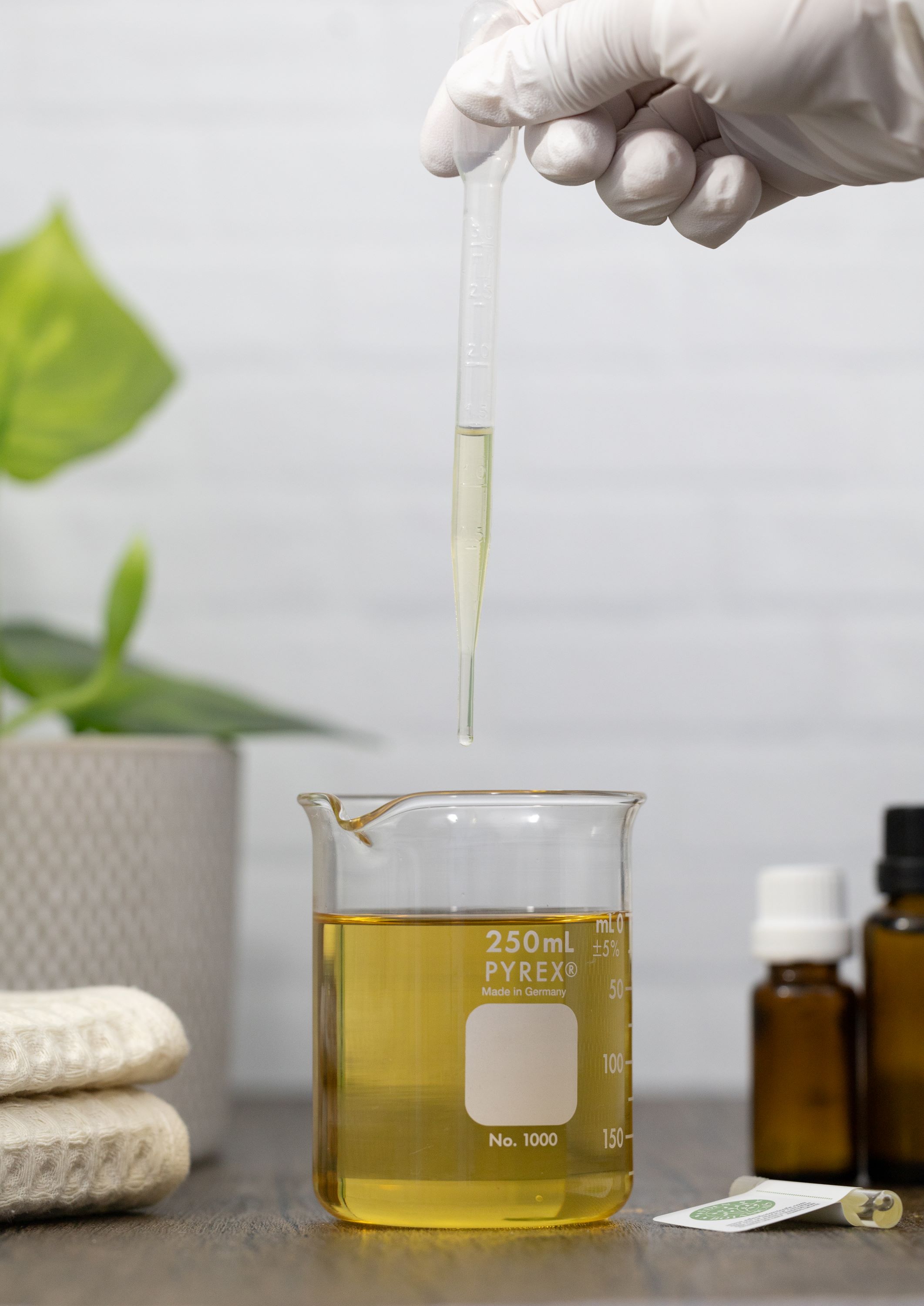 Peppermint, USA EO | Eden Botanicals