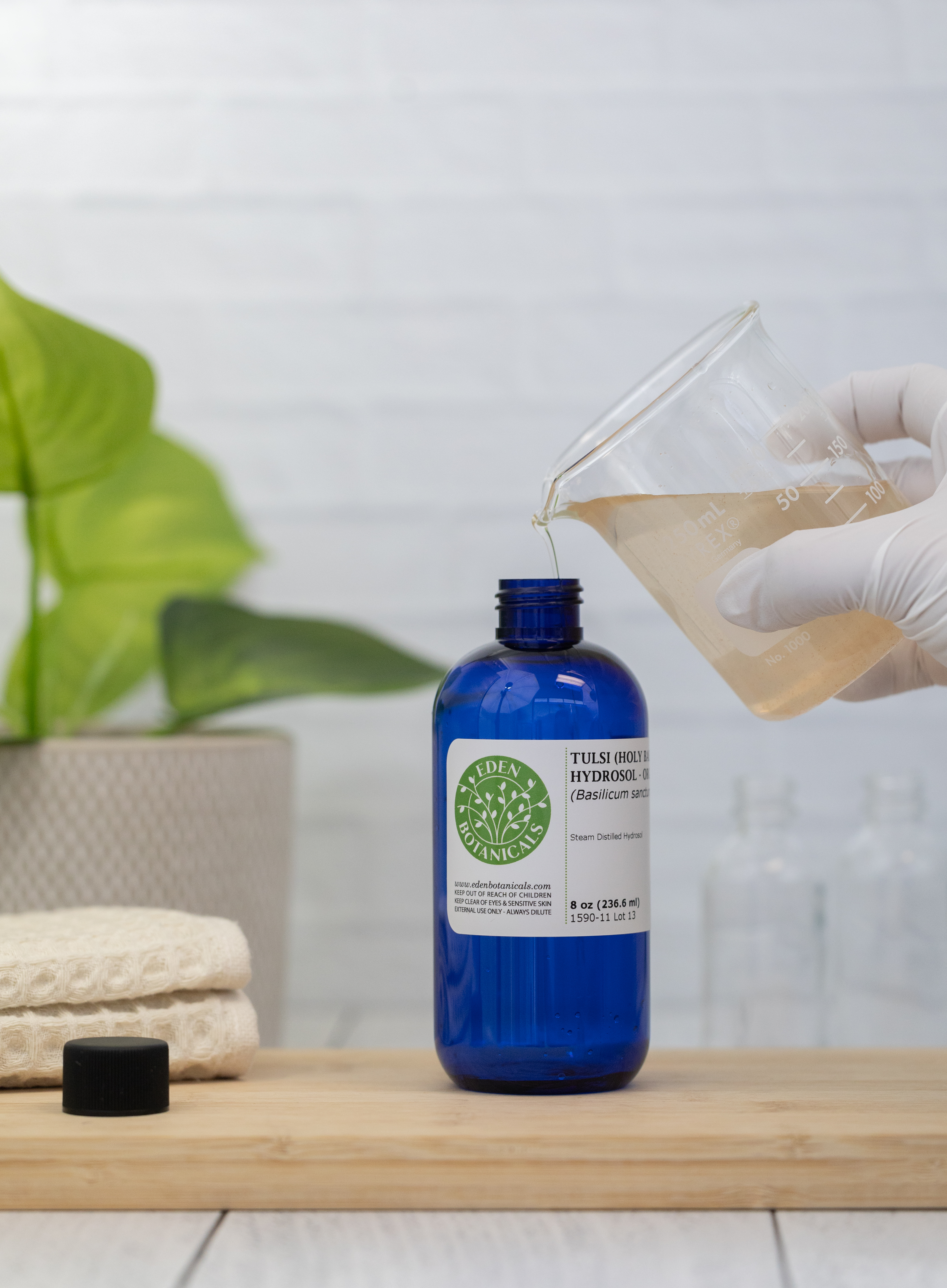 Tulsi (Holy Basil) Hydrosol - Organic | Eden Botanicals