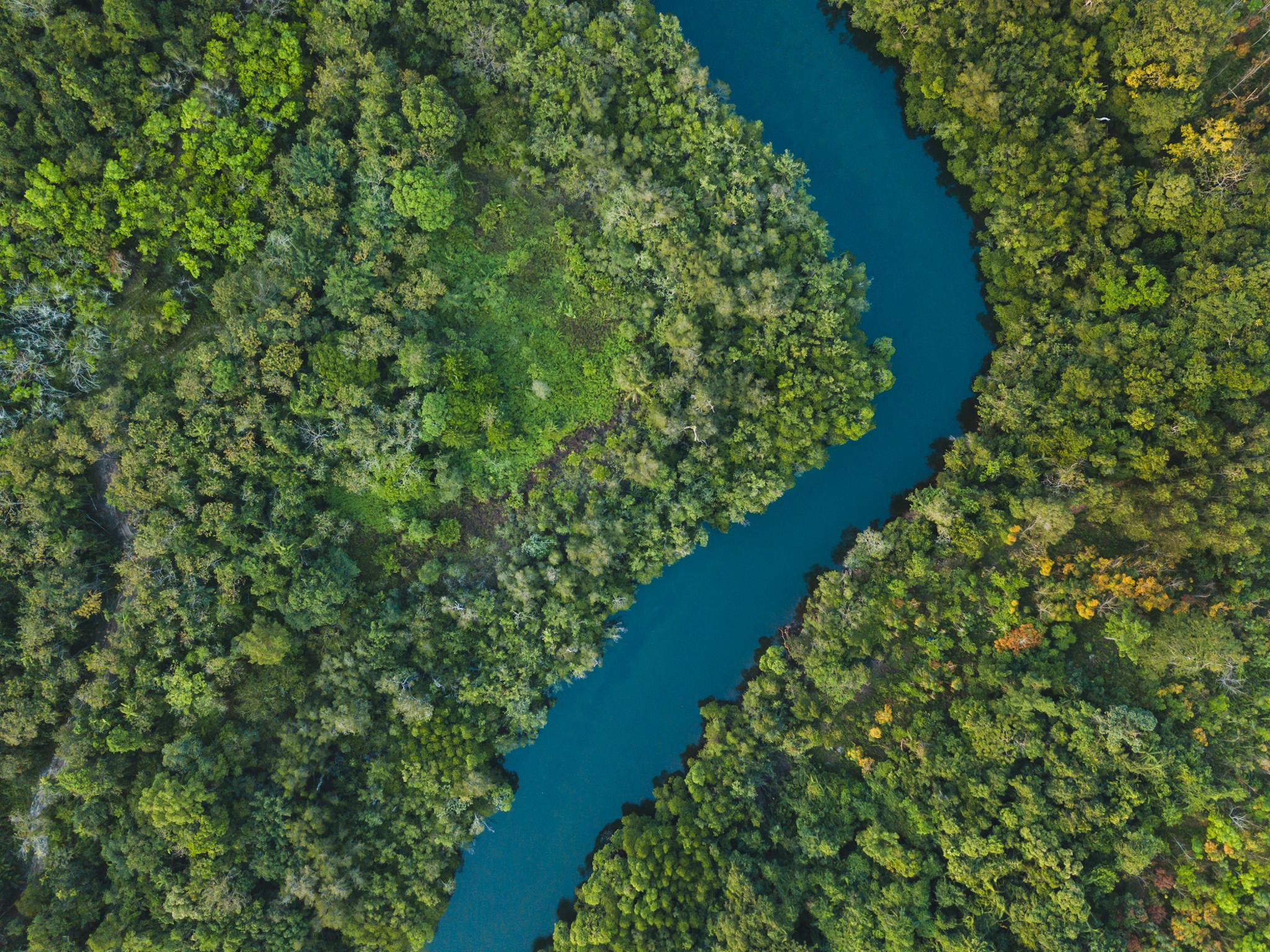 Towards Nature Positive | Edge Impact