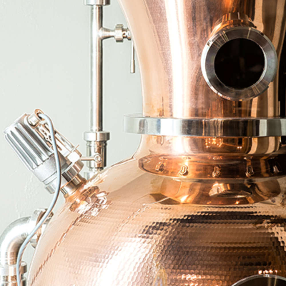 Welcoming you back to our Wonder-filled home - Edinburgh Gin