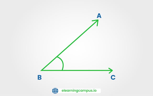 Measuring Angles With a Protractor