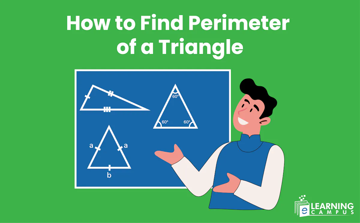 Learn How to Find Perimeter of a Triangle