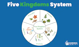 learn what is five kingdoms system, its characteristics, and history.