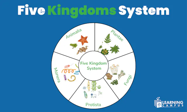 learn what is five kingdoms system, its characteristics, and history.