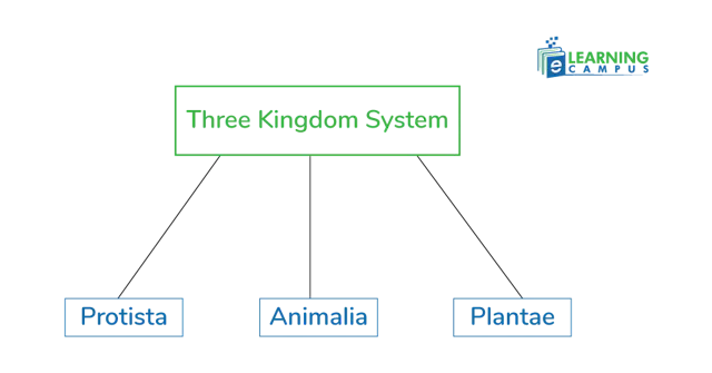 learn what is five kingdoms system, its characteristics, and history.