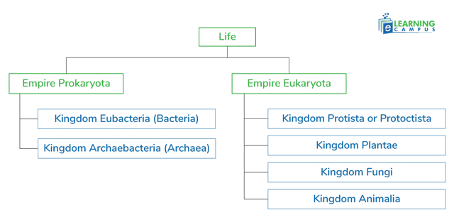 learn what is five kingdoms system, its characteristics, and history.