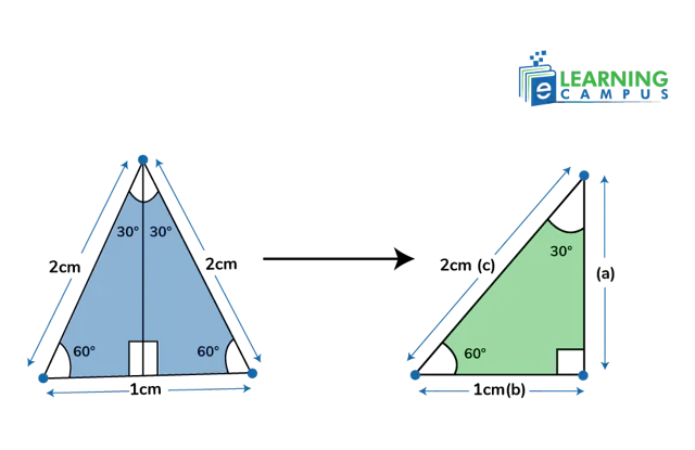 Trigonometric Ratios Explained – Sin, Cos, Tan, and Their Reciprocals