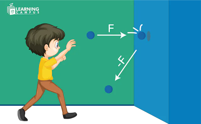 Understanding Force and Motion and Their Relationship