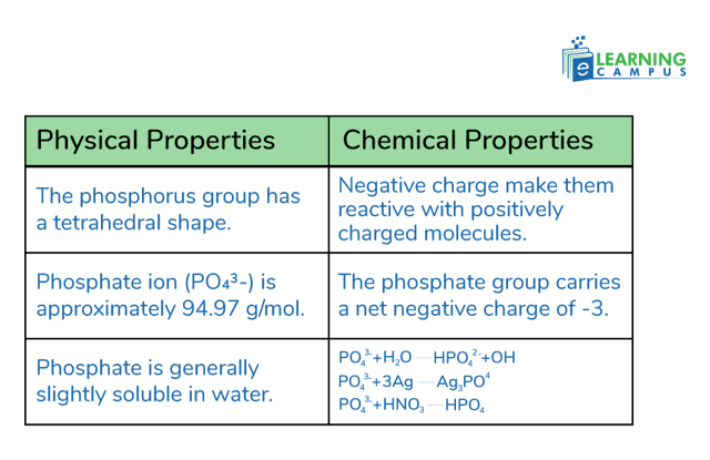 Phosphate Functional Group – Formula, Structure, and Properties