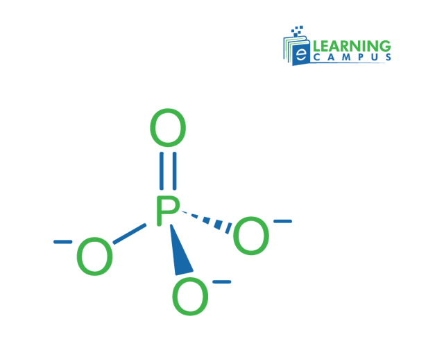 Phosphate Functional Group – Formula, Structure, and Properties