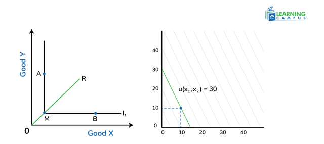 What is an Indifference Curve? Definition, Analysis, and Properties