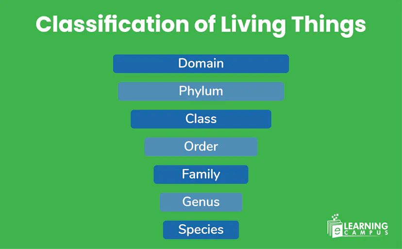 Classification of Living Things |Taxonomy(biology)| living organisms
