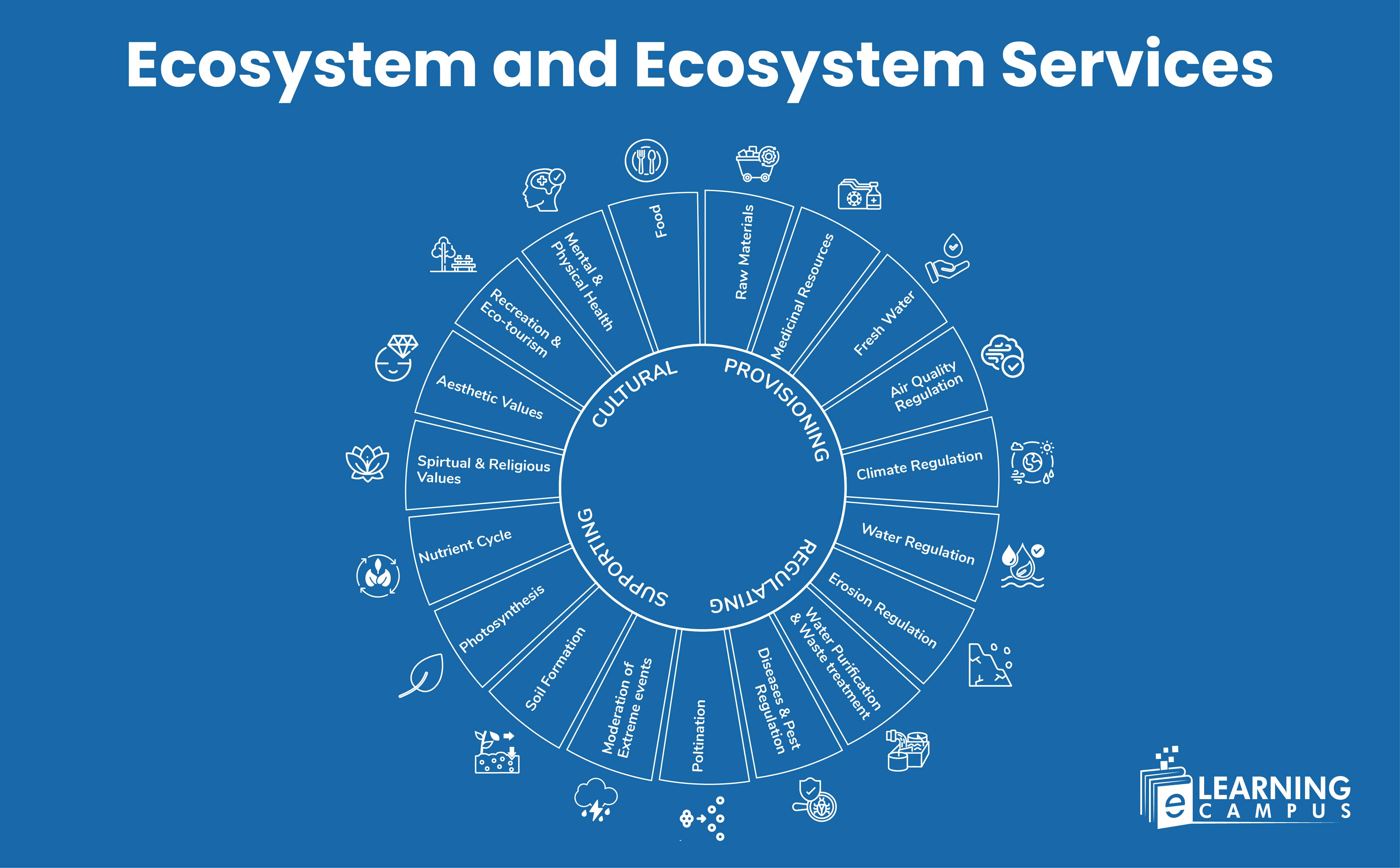 Ecosystem and Ecosystem Services | Green Climate & Biodiversity