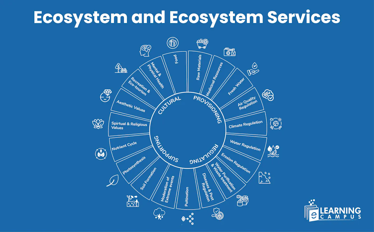 Ecosystem and Ecosystem Services | Green Climate & Biodiversity