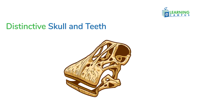What Dinosaur Has 500 Teeth | That Quickly Regrows | Unveiling