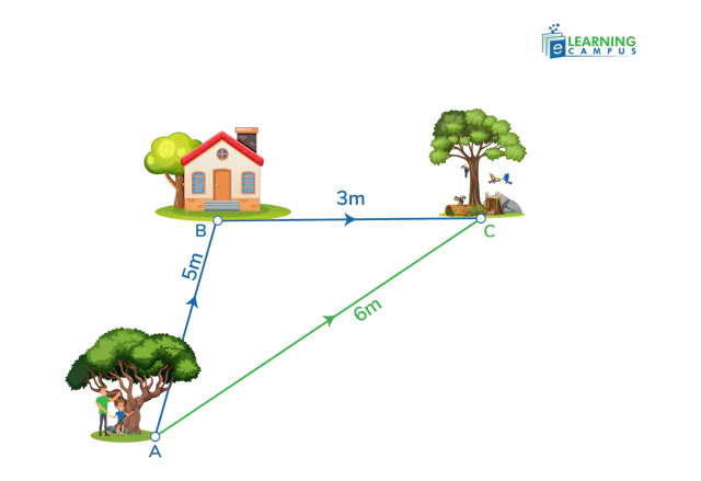 Distance vs Displacement: Scalar vs Vector, Formulas & Examples