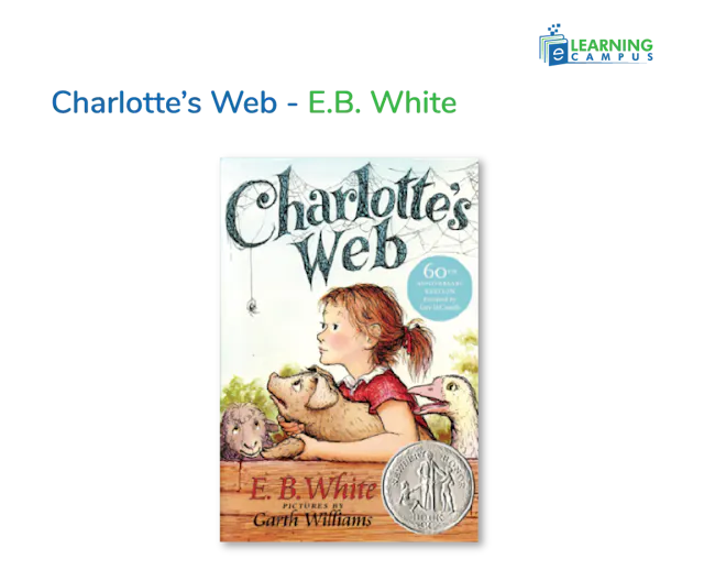Best Books for 4th Graders | Reading, Math & Science Stories 2025