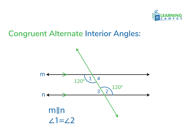 Alternate Interior Angles Theorem, Definition & Examples Explained