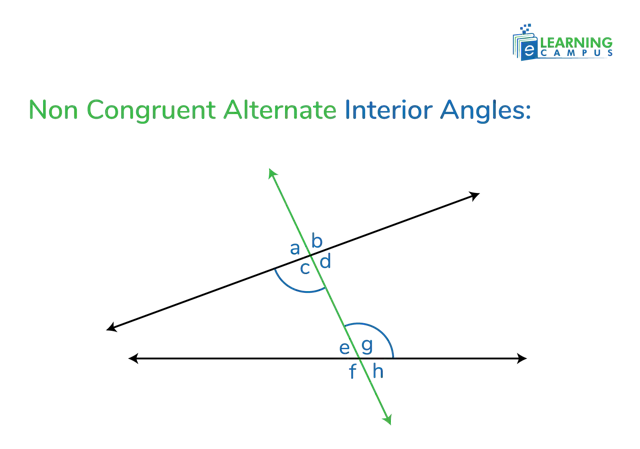 Alternate Interior Angles Theorem, Definition & Examples Explained