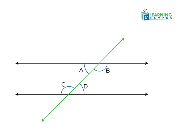 Alternate Interior Angles Theorem, Definition & Examples Explained