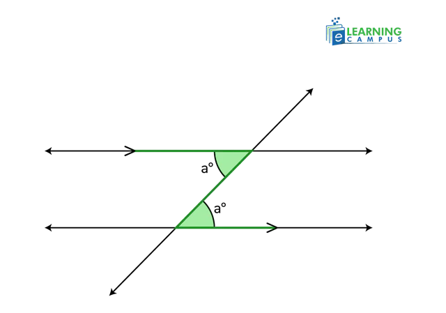 Alternate Interior Angles Theorem, Definition & Examples Explained