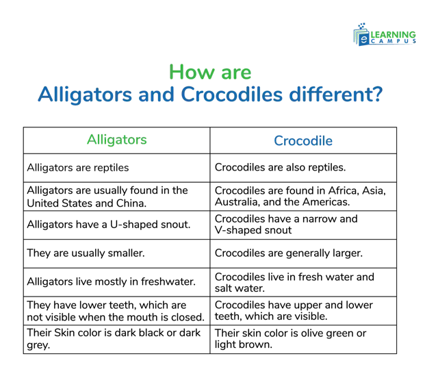 Are Alligators Amphibians or Reptiles? Key Differences Explained