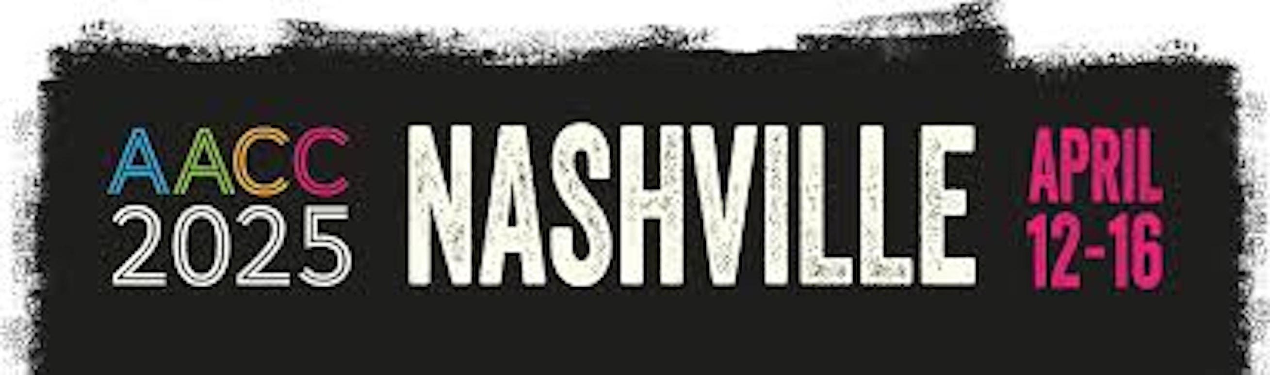 CSSO 2025 | Element451