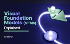 Visual Foundation Models (VFMs) Explained | Encord